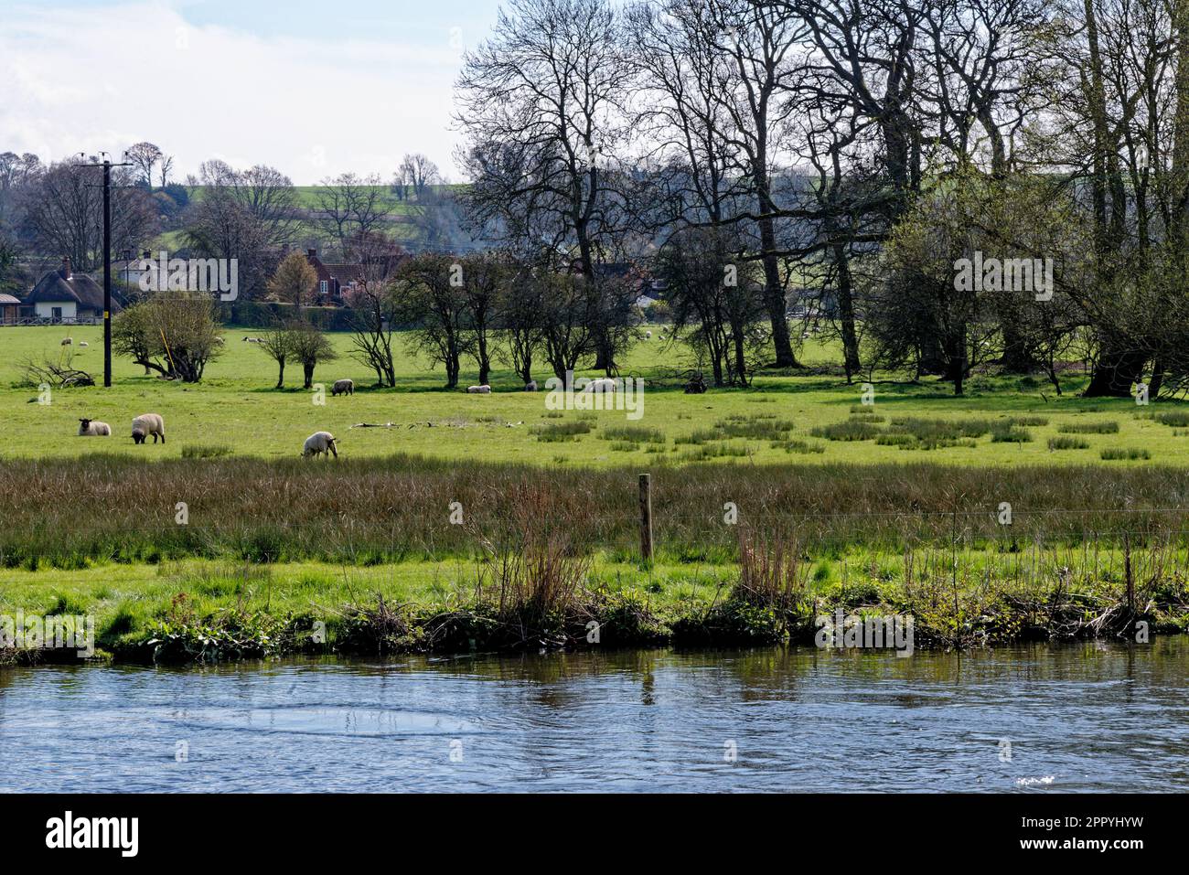 English spring landscape with River Avon (Bristol Avon) at Upper ...