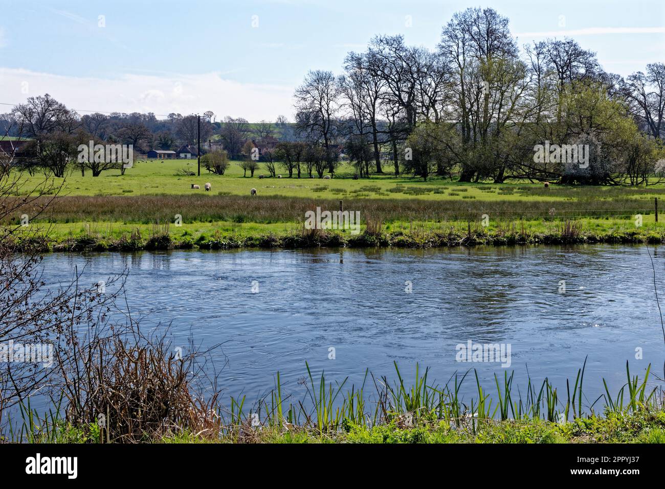 English spring landscape with River Avon (Bristol Avon) at Upper ...