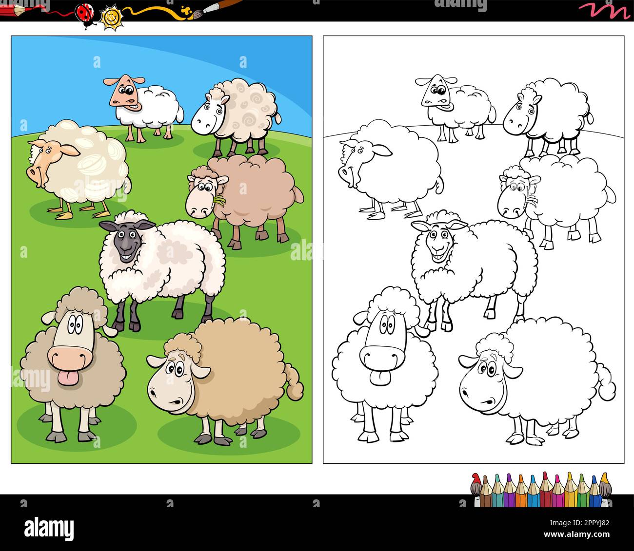 cartoon sheep farm animal characters coloring page Stock Vector Image ...