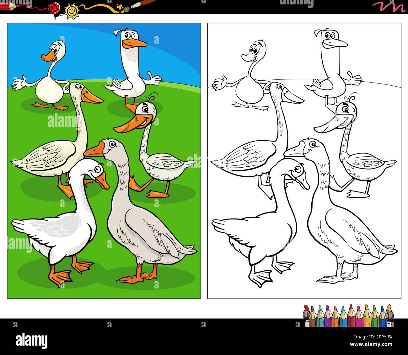 cartoon geese birds farm animal characters coloring page Stock Vector ...