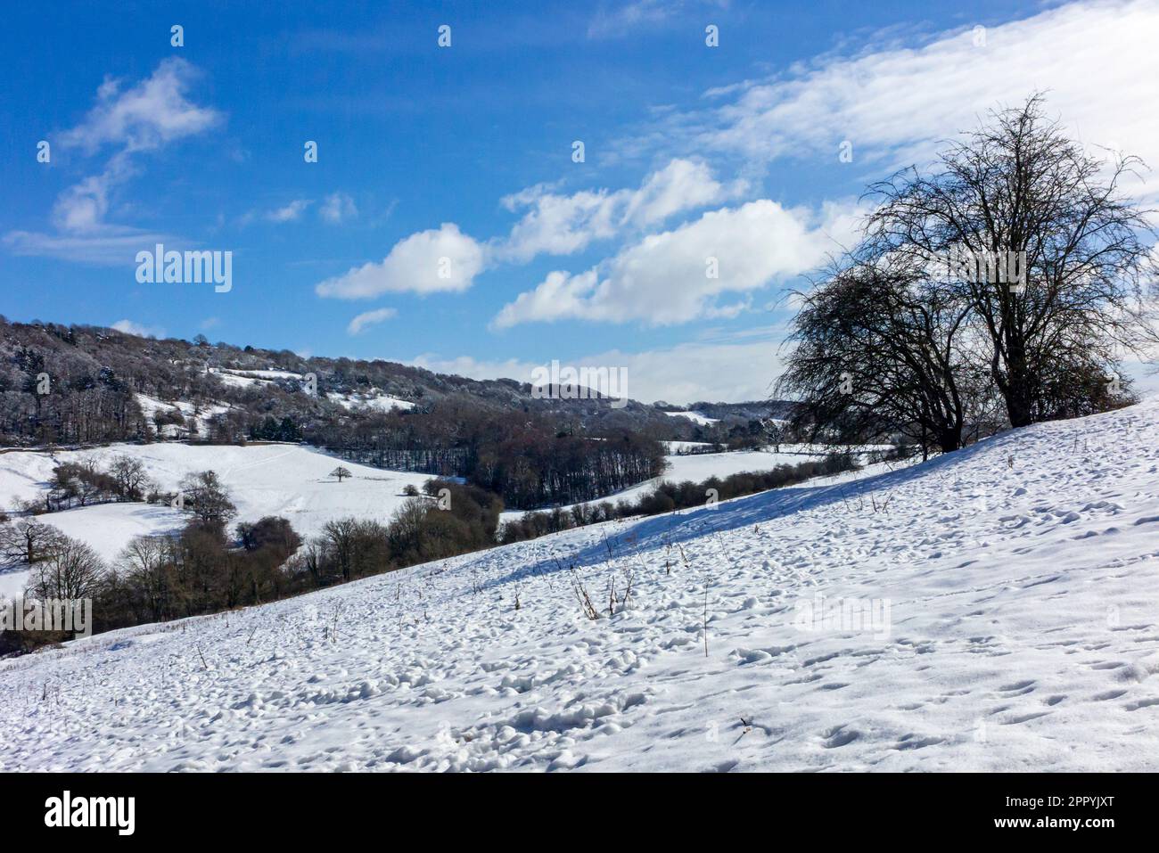 Snow covered landscape with trees at Matlock Bath in the Derbyshire ...