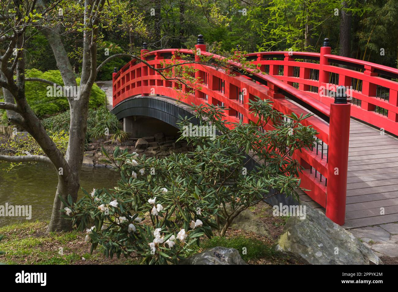 Bridge over water, Sarah P. Duke Gardens, Duke University, Durham ...