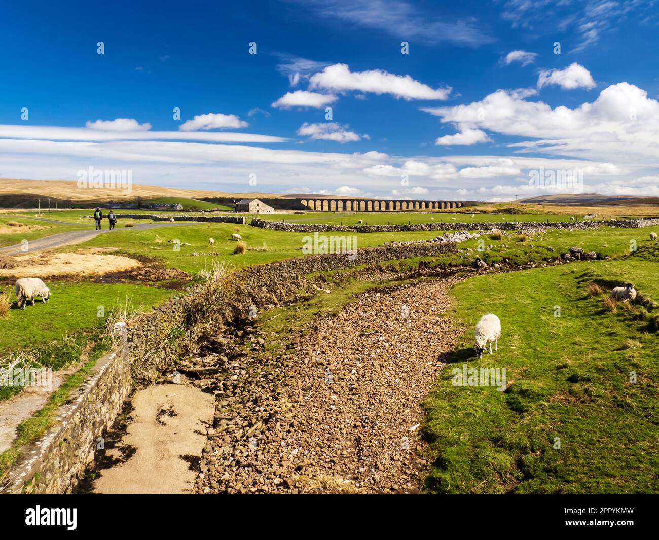 Hikers walking towards the iconic Ribblehead viaduct on the Settle ...