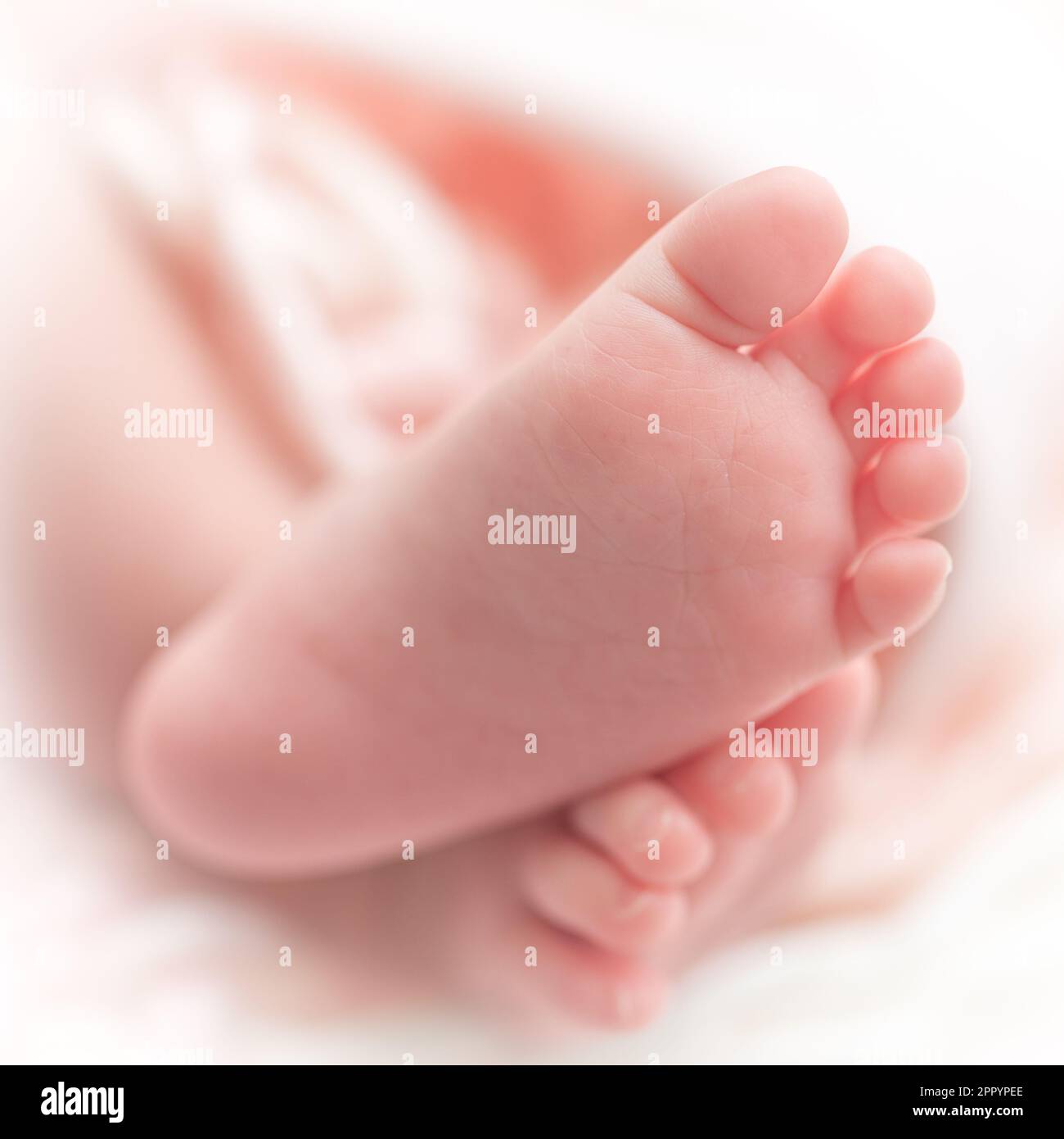 A close-up photograph of a newborn baby's feet against a white and pink ...