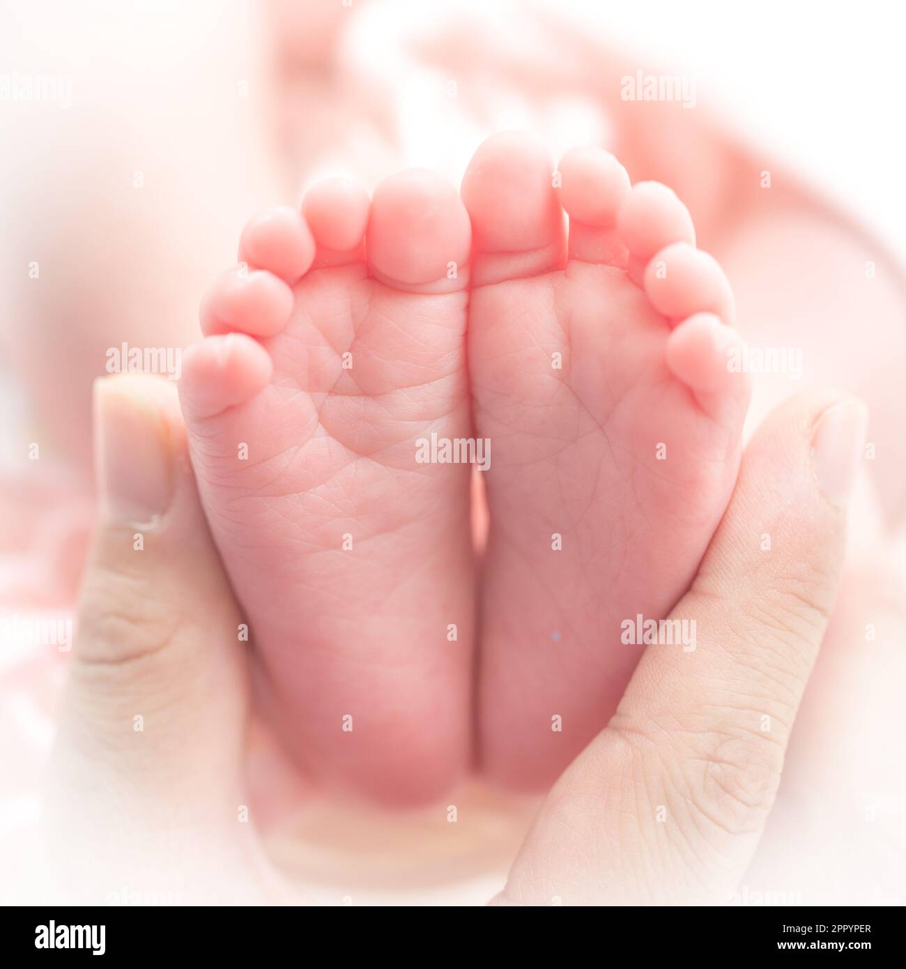 An image of a loving mother cradling her infant child's feet in her ...