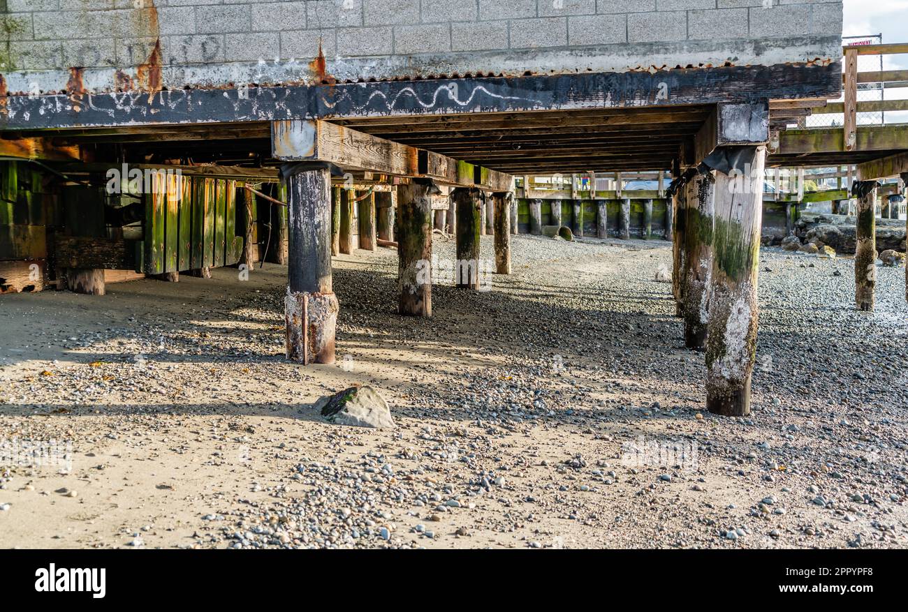 A view of pier piling in Redondo Beach, Washington. Tide is low Stock ...