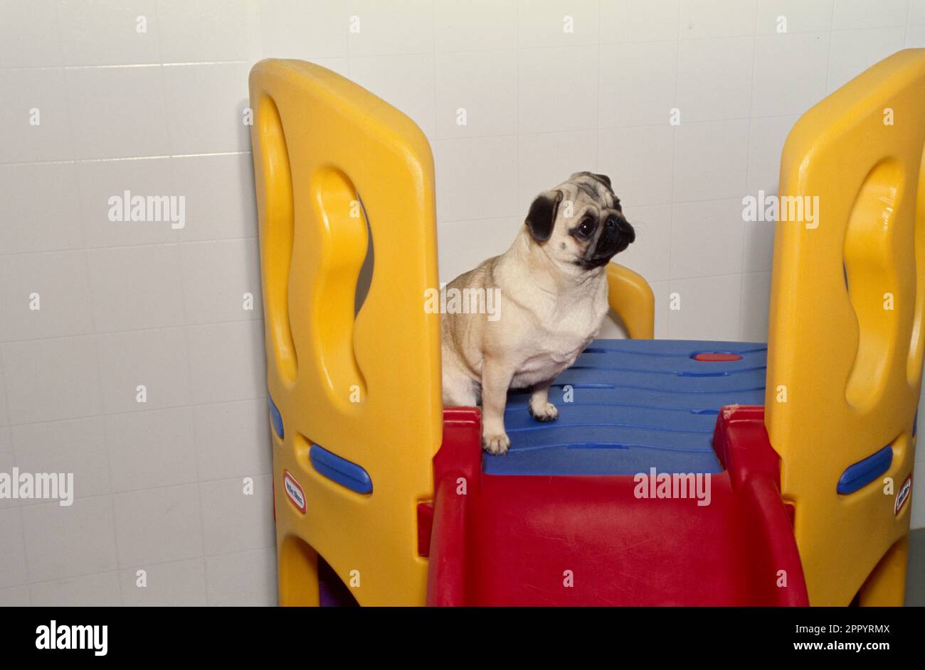 Play slide hi-res stock photography and images - Alamy