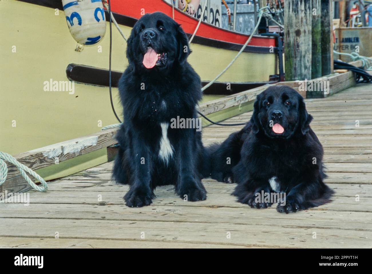 Hanging wooden boats hi-res stock photography and images - Alamy