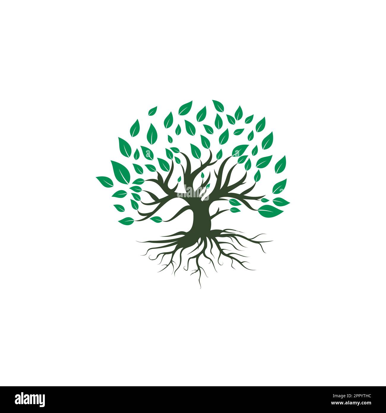 Tree root logo vector design illustration. Tree of Life logo design ...