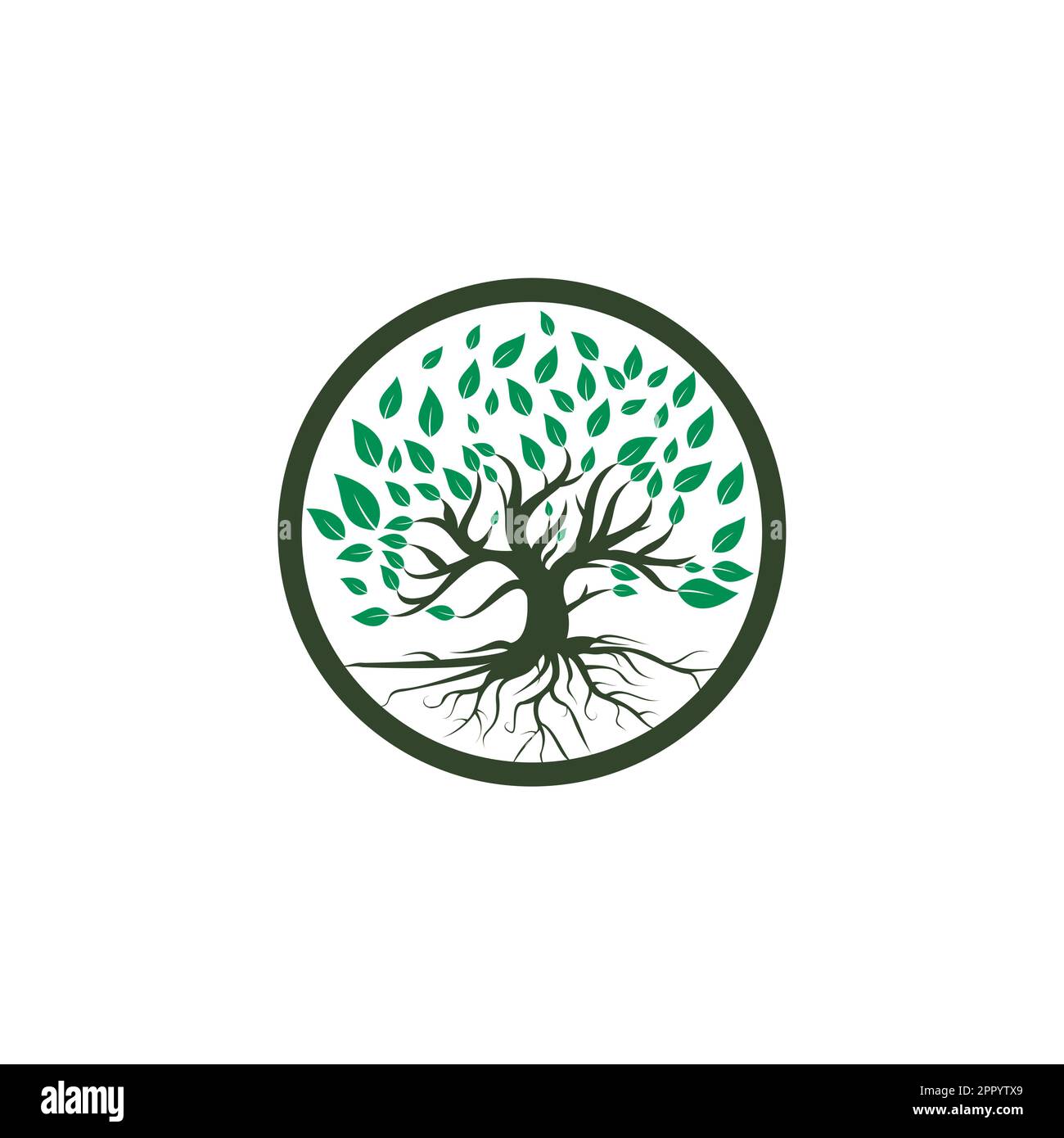 Tree root logo vector design illustration. Tree of Life logo design ...