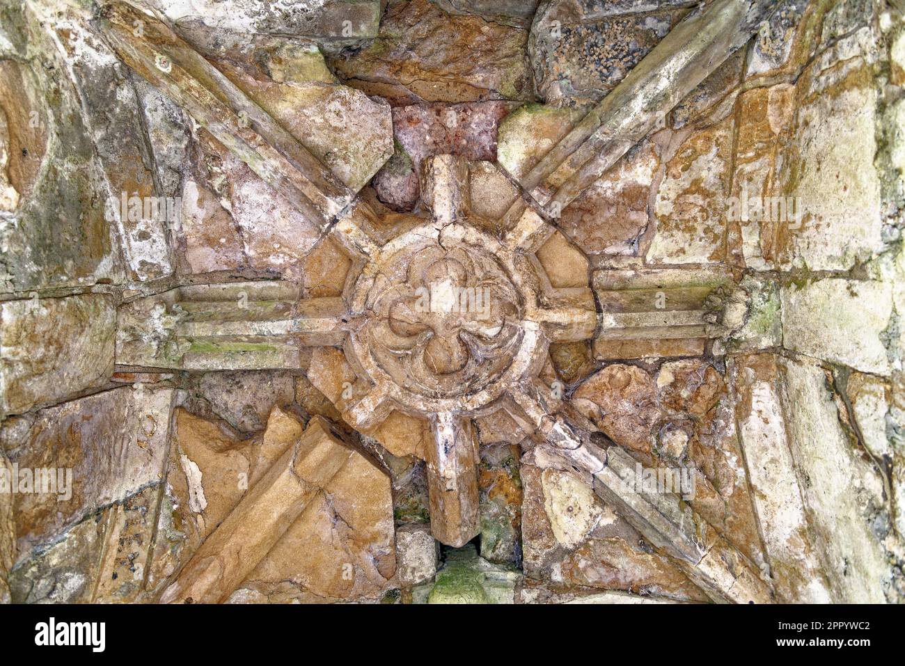 Inside walls of Nunney Castle and moat in the village of Nunney. Built ...