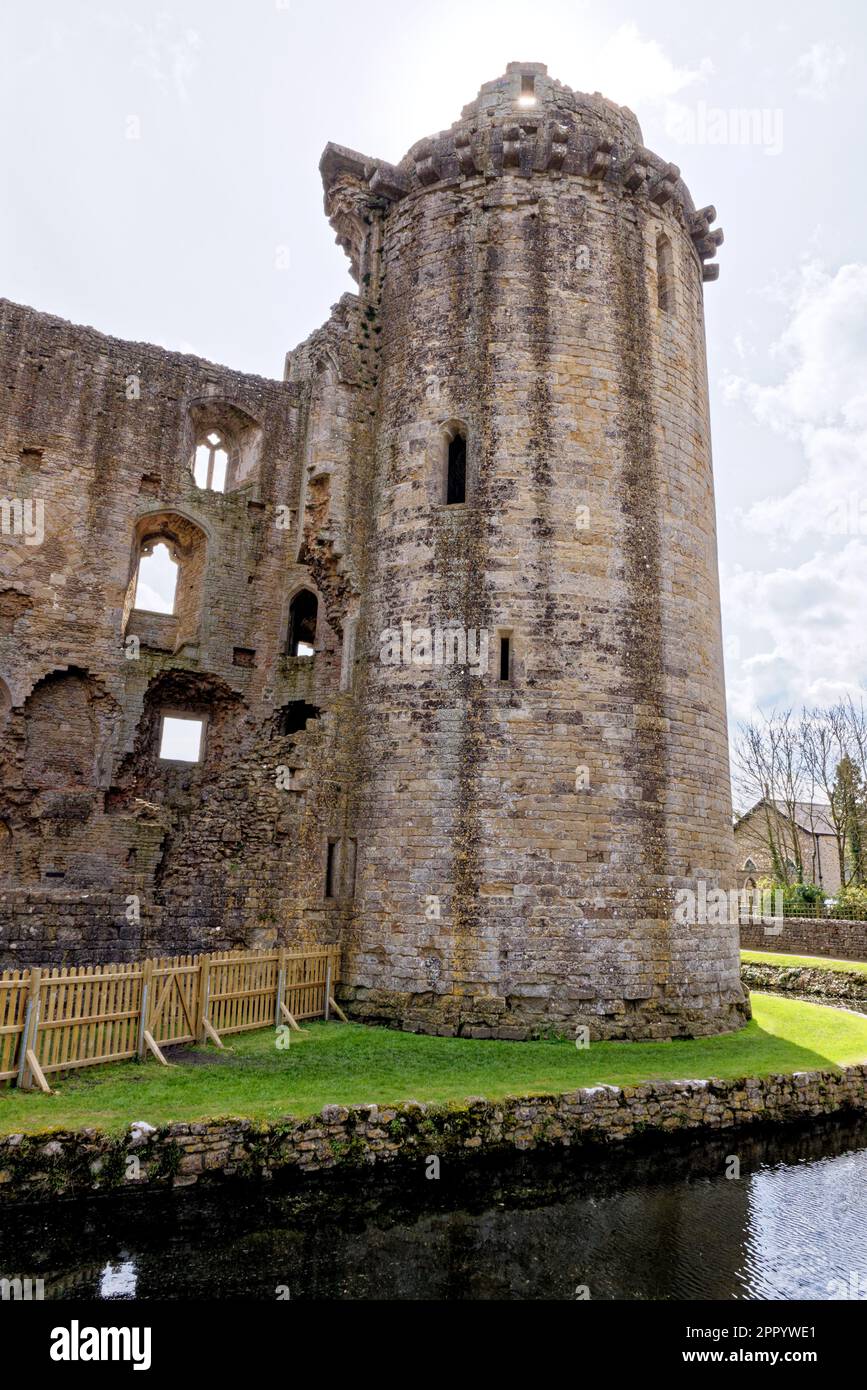 Nunney Castle and moat in the village of Nunney. Built in the 1370s by ...