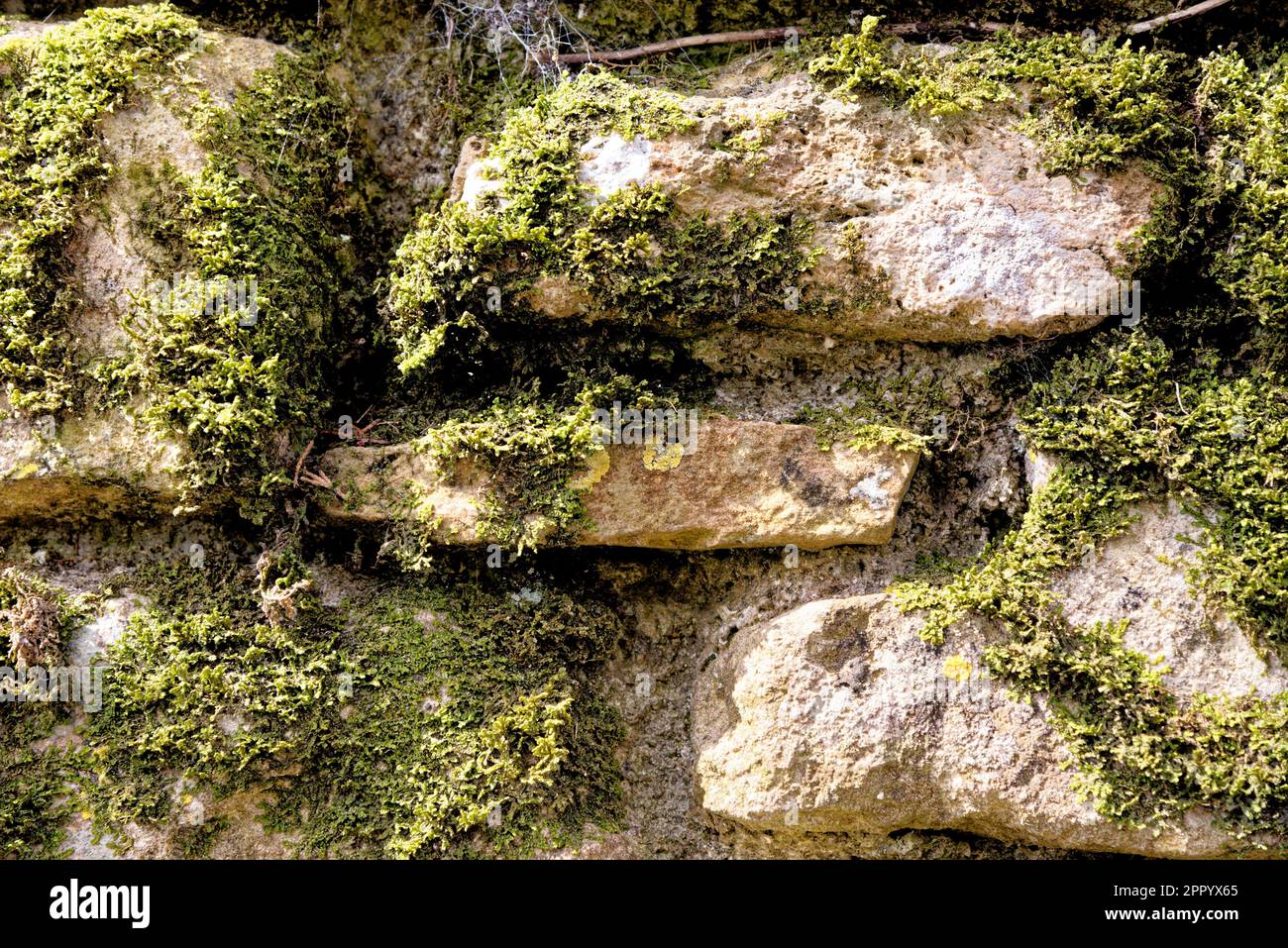 Masonry with different rock types - Closeup of bricks as part of old ...