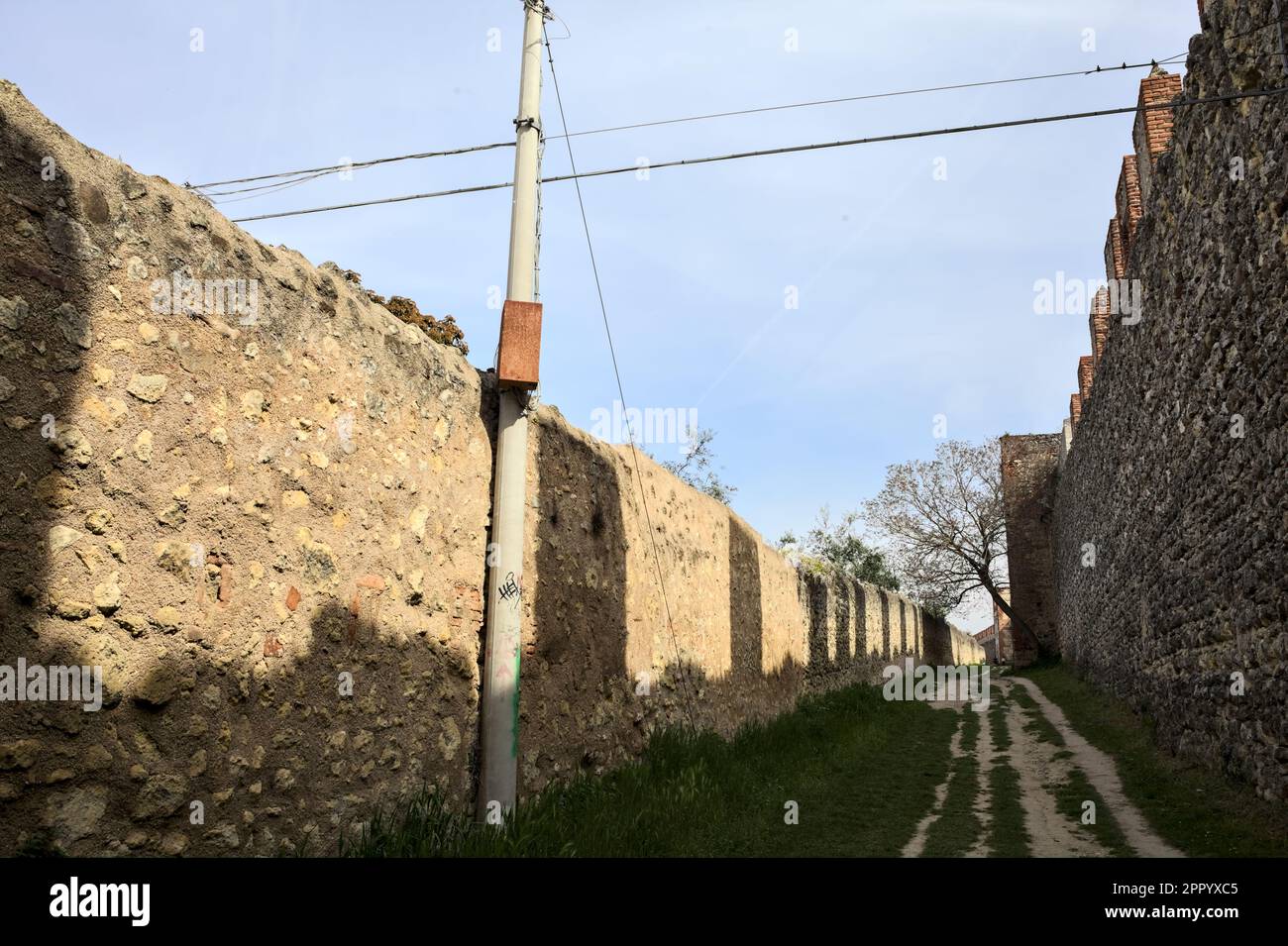 Tree in a dirt path between boundary walls in a park by the hillside ...