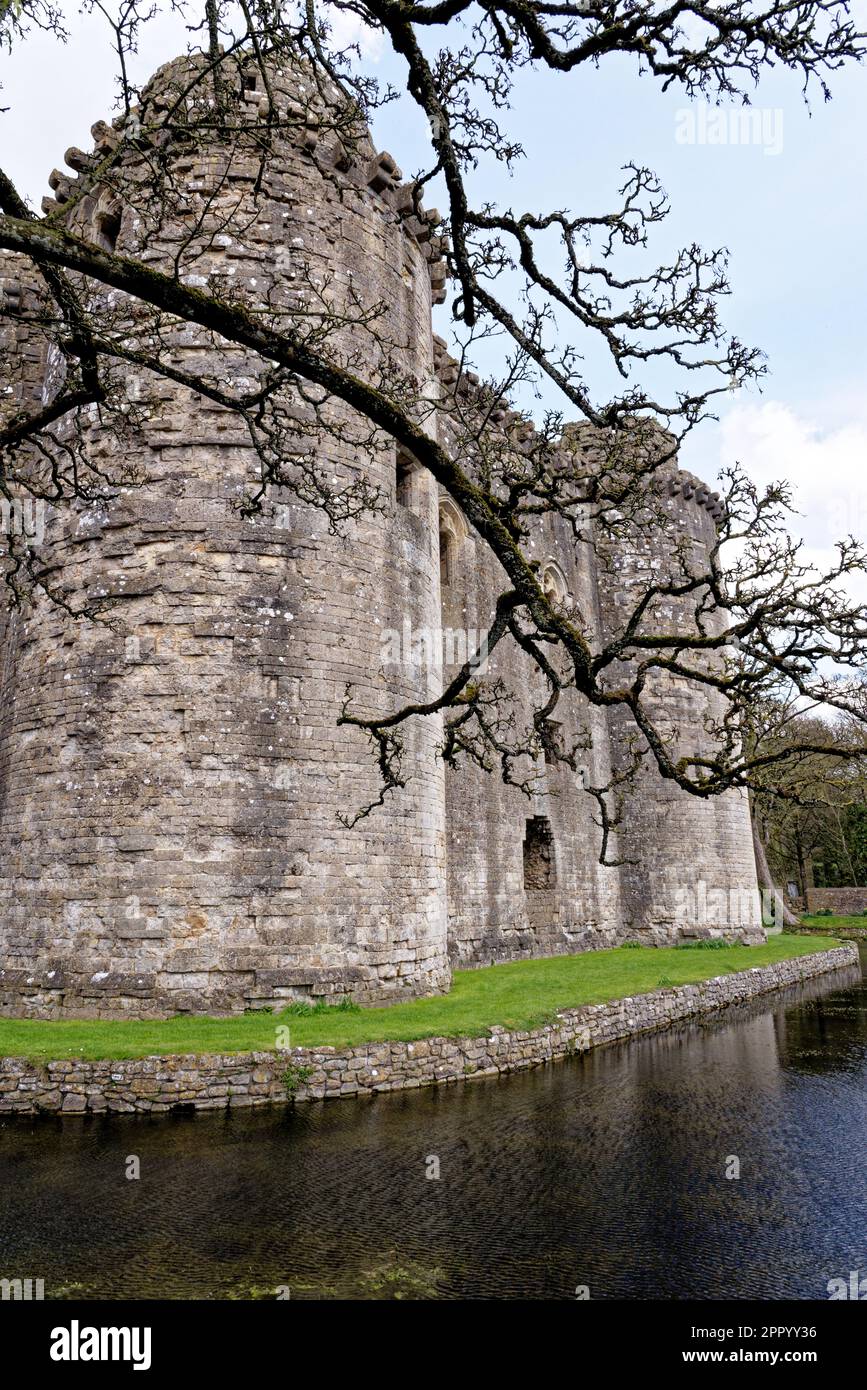 Nunney Castle and moat in the village of Nunney. Built in the 1370s by ...