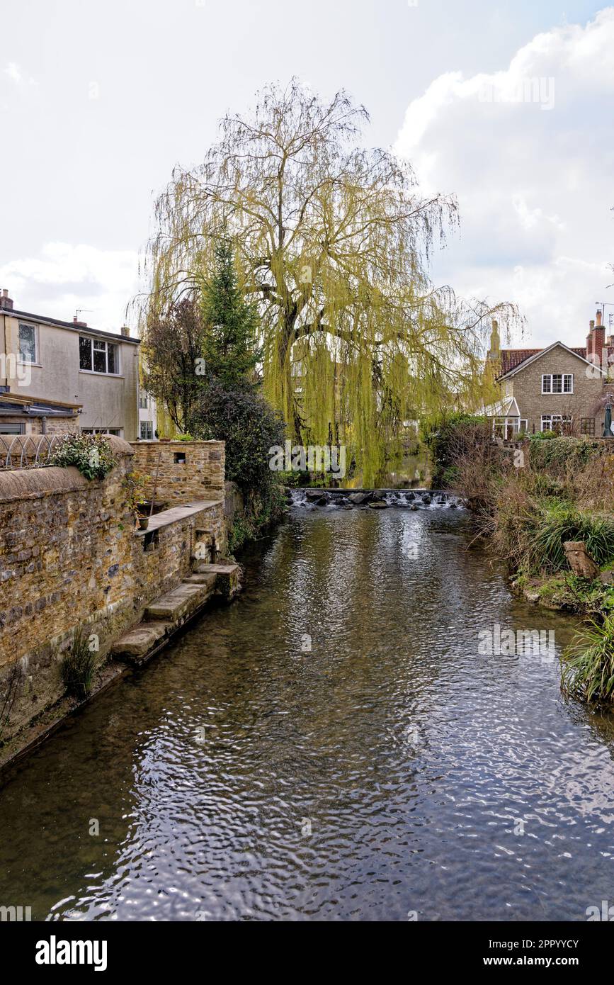 Pretty cottages and the Mells River at Nunney. Village of Nunney ...