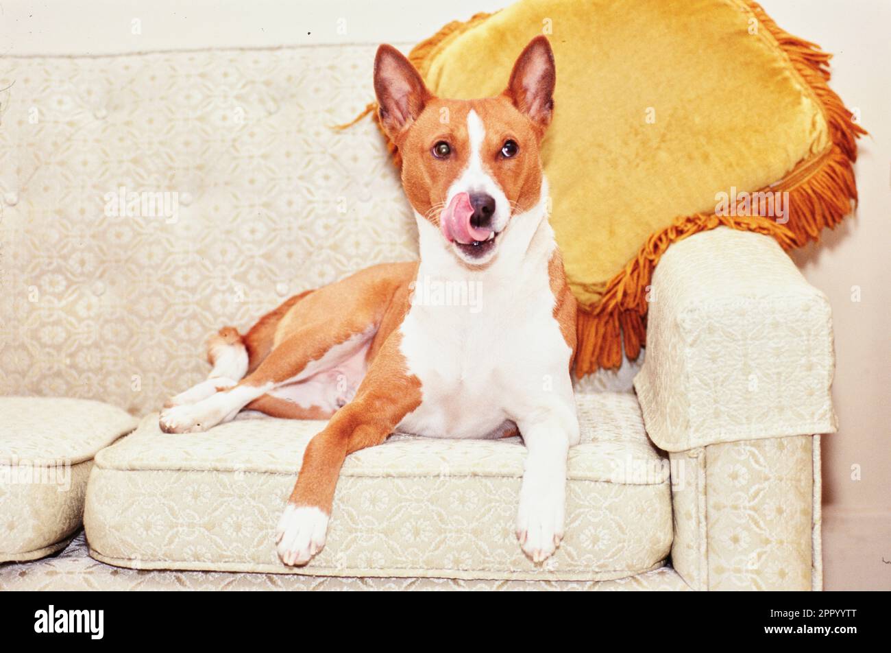 Beige lips hi-res stock photography and images - Alamy