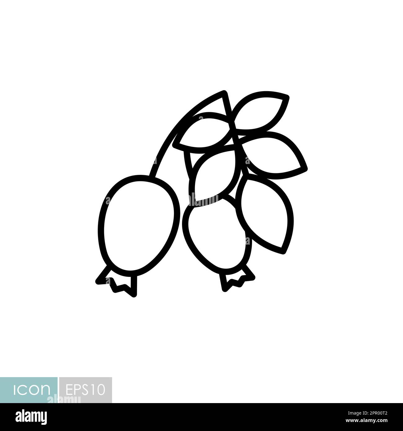 Wild rose hip Stock Vector Images - Alamy