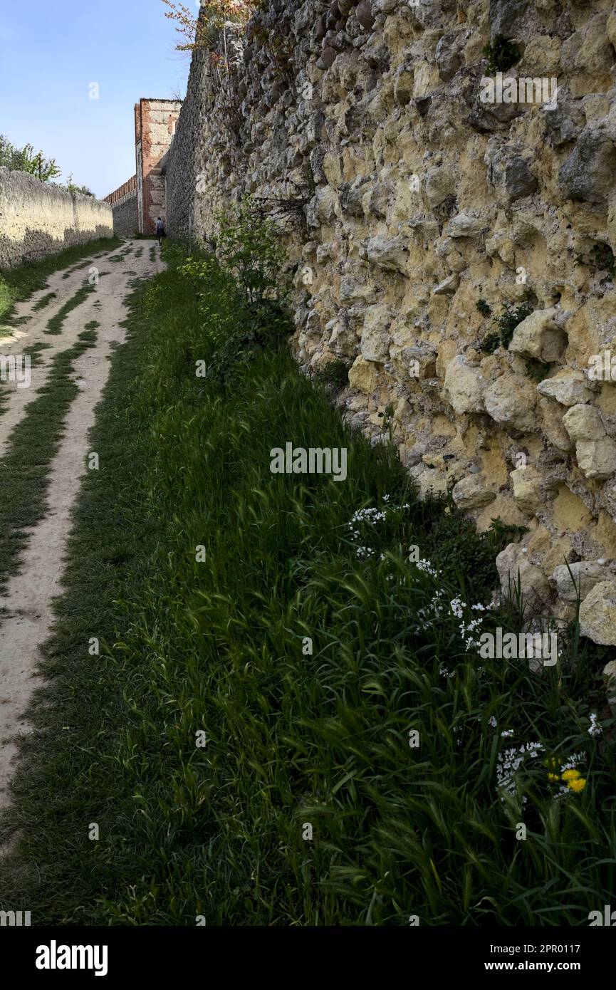 Path bordered by flowers and a boundary walls in a park by the hillside ...