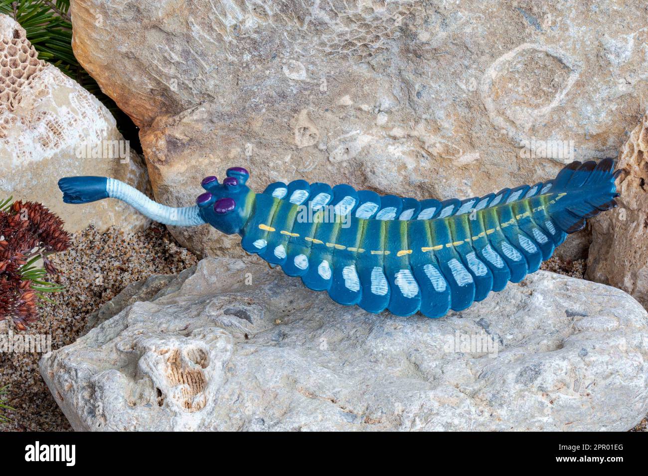 Permian mass extinction event hi-res stock photography and images - Alamy