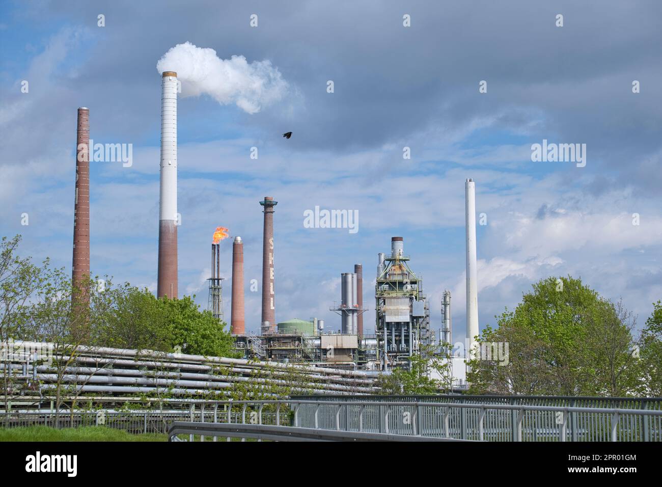industrial plant, smoking chimneys , refinery of the Shell company ...
