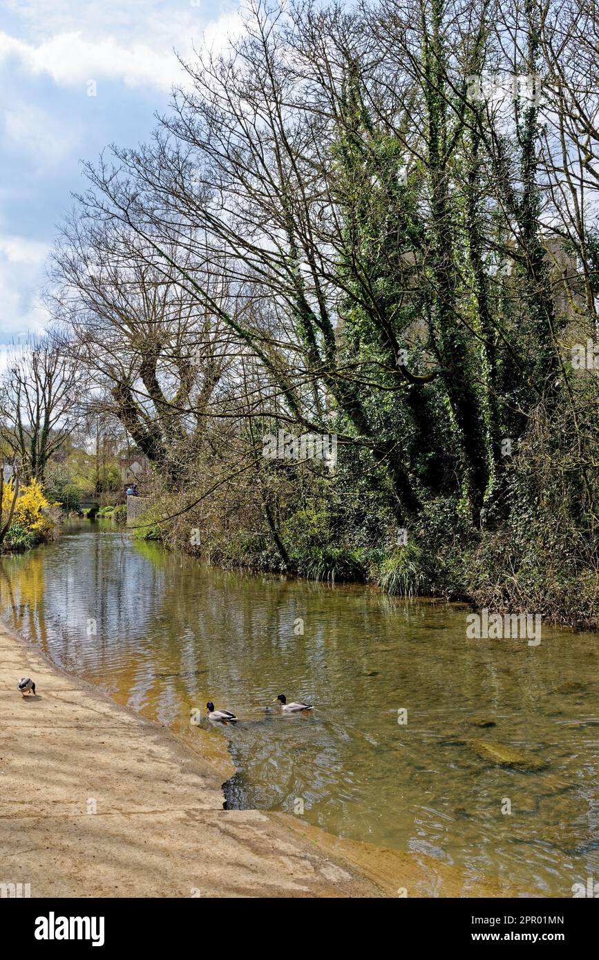 Mells river nunney village hi-res stock photography and images - Alamy