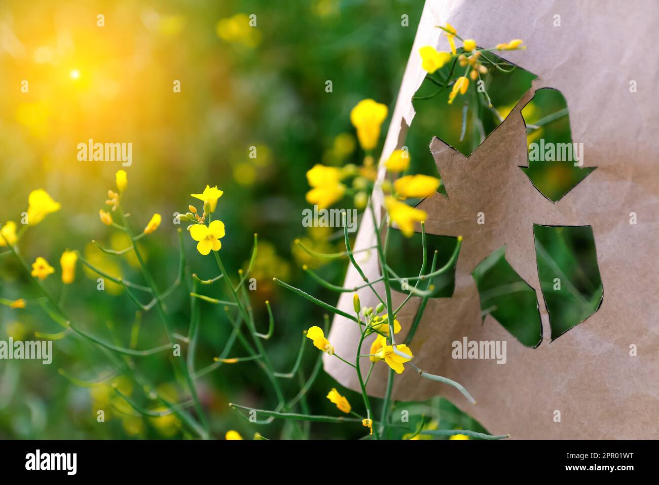 Recycled paper. Eco sign. Defocus cut paper with the logo of recycling ...