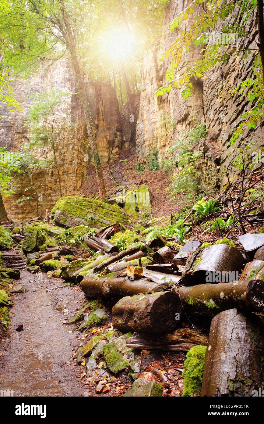 Mullerthal trail in Luxembourg between Echternach and Berdorf, hiking ...
