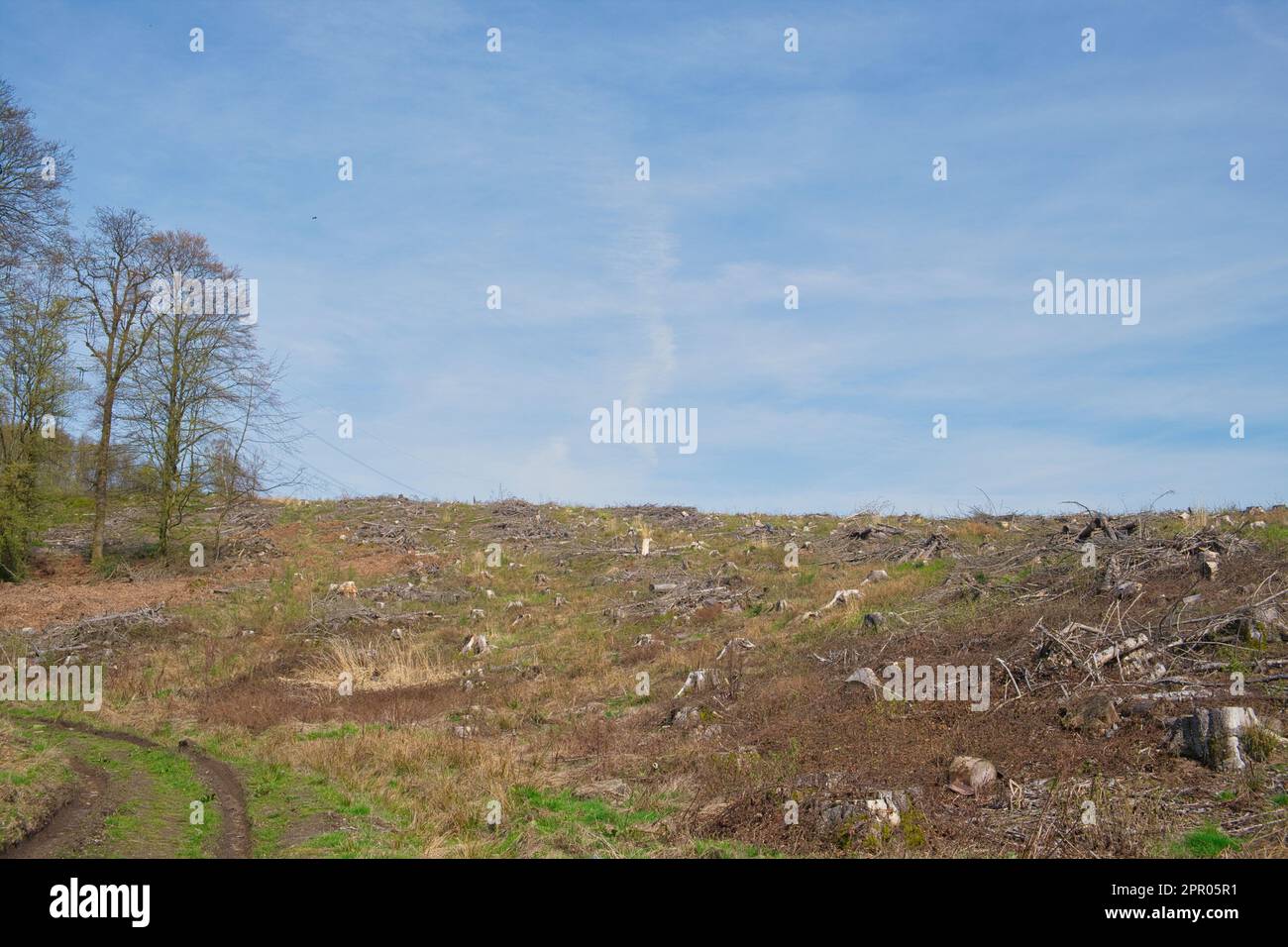 Landscape significant environmental damage hi-res stock photography and ...