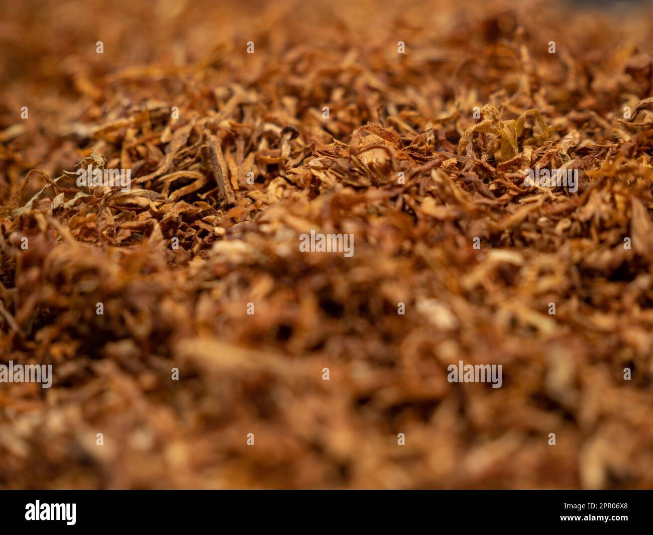 Dry smoking tobacco. Lots of smoking tobacco. Tobacco close-up Stock ...