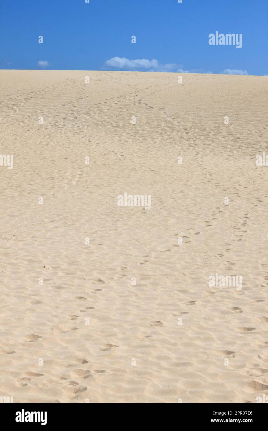 Human footsteps in the sand dunes of a desert Stock Photo - Alamy