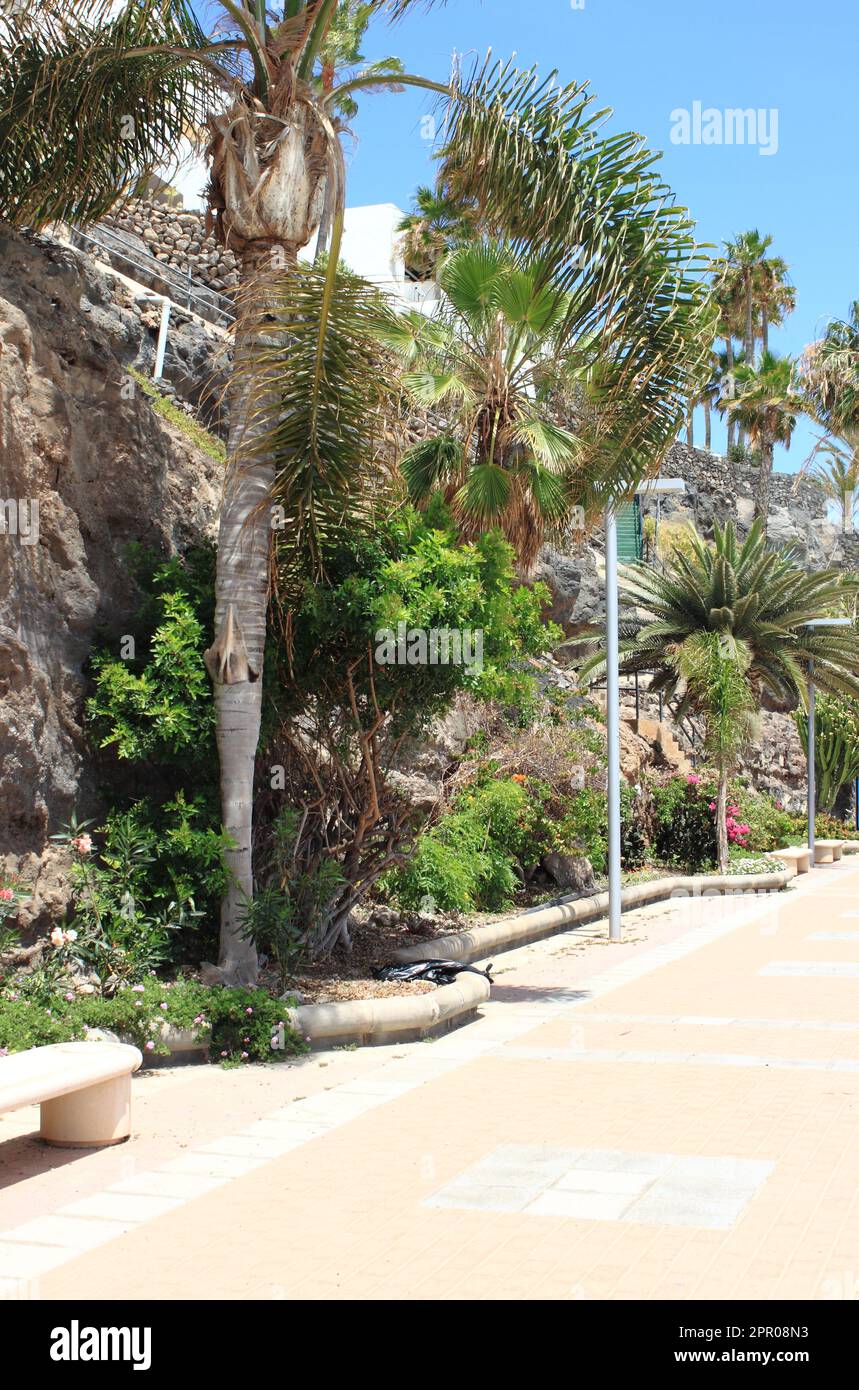 Beach promenade morro jable fuerteventura hi-res stock photography and ...