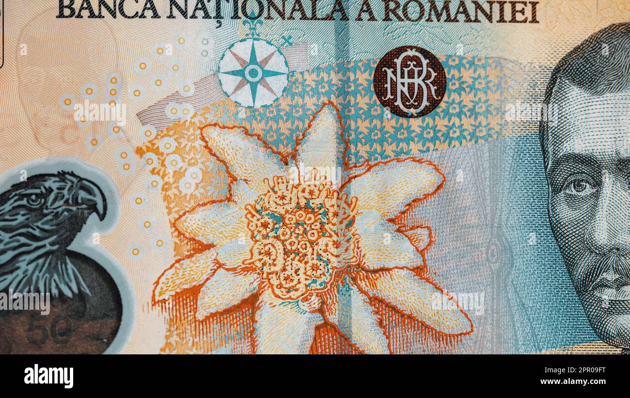 Romanian LEI Currency Banknote. RON Money European Currency Stock Photo ...