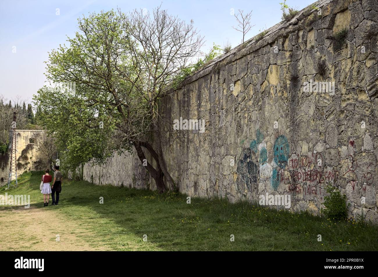 Tree in a dirt path between boundary walls in a park by the hillside ...