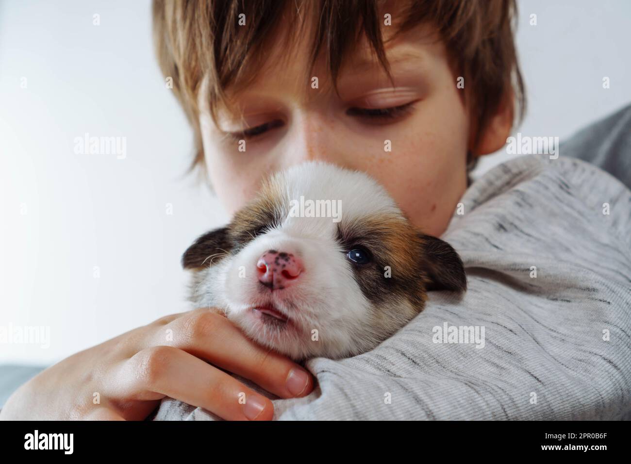 Frustrated teenage boy sits and hugs his only puppy friend. Children ...