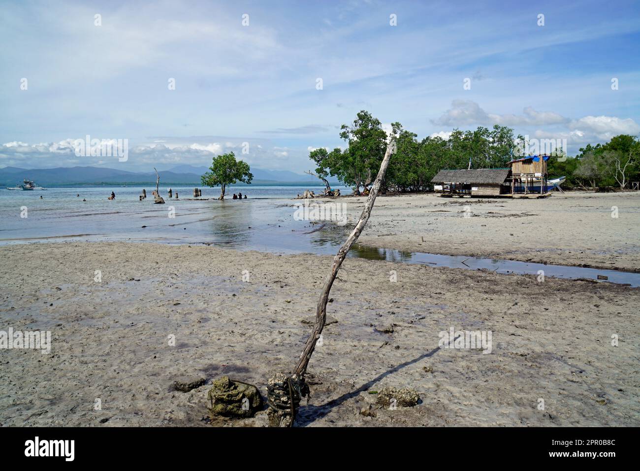 Pristine Palawan Beach 10 Best Palawan Island Tours & Trips 2025/2026