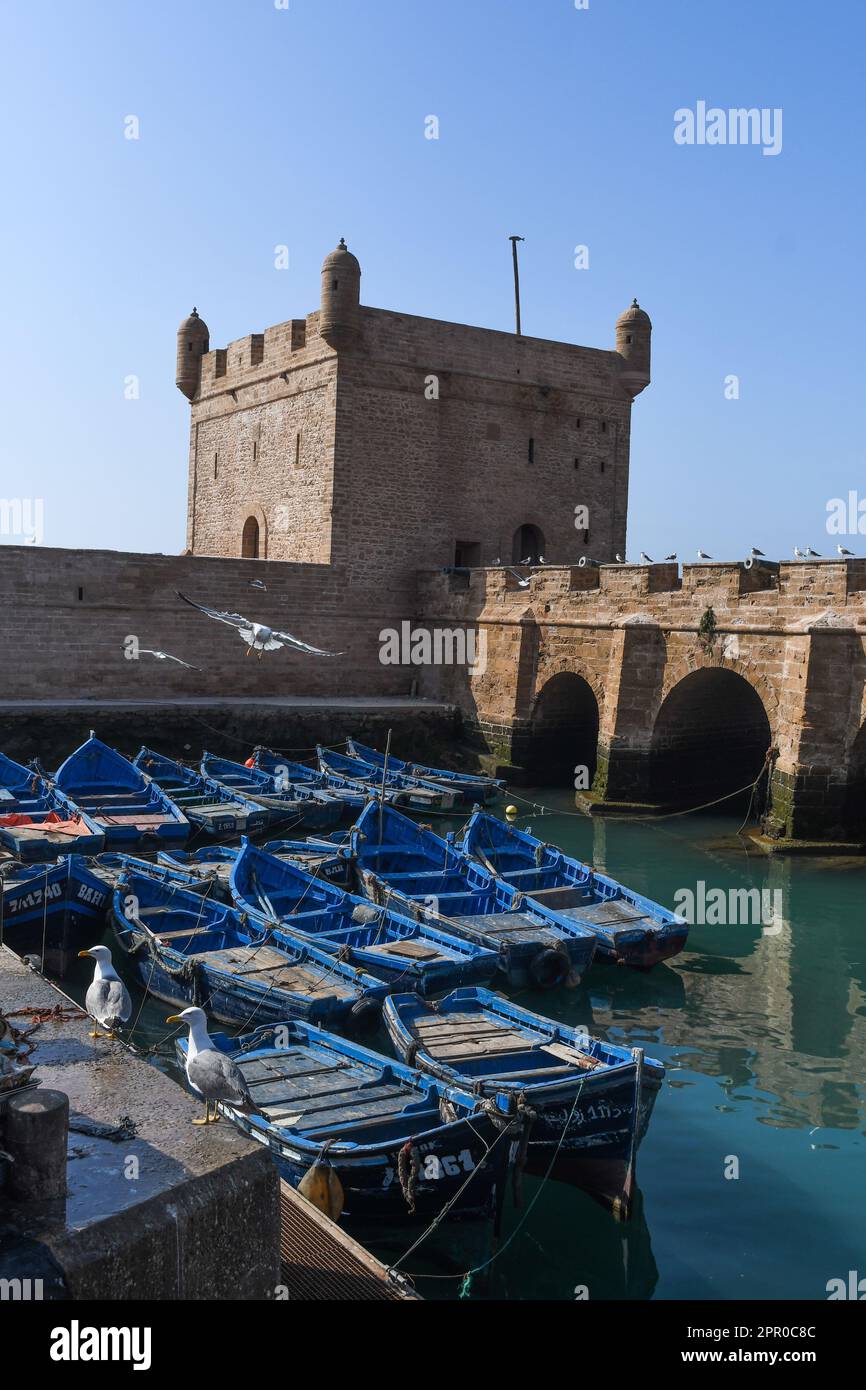 Essaouira, fish Market and blue barges Stock Photo - Alamy