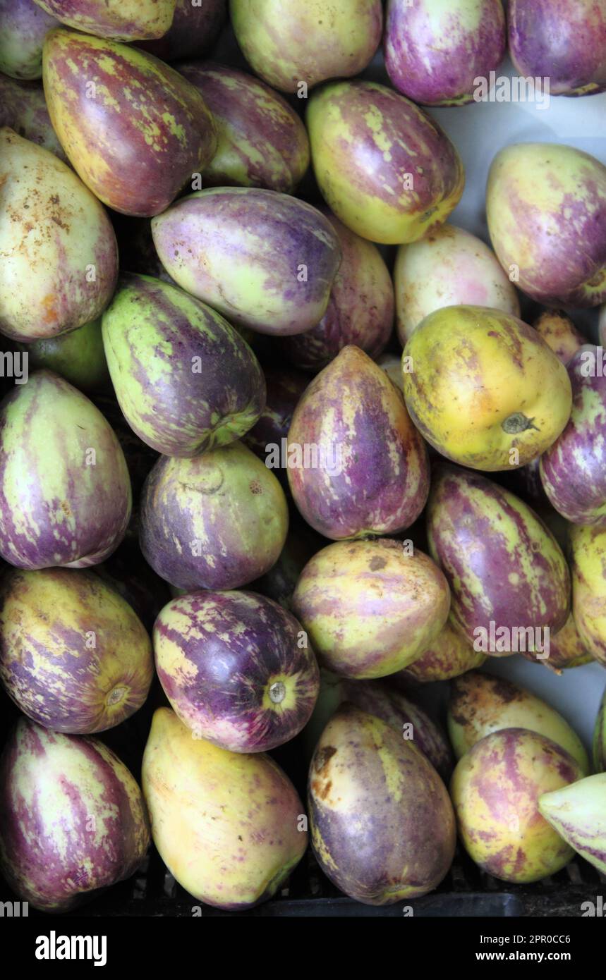 Pepinos melon stacked in a market stall Stock Photo - Alamy