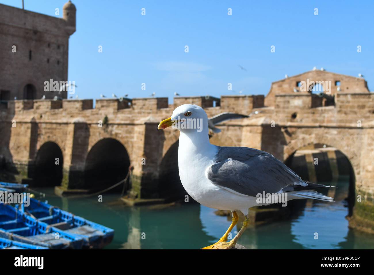 Essaouira, fish Market and blue barges Stock Photo - Alamy