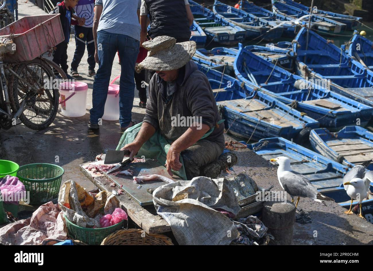 Fisherman cutting fish hi-res stock photography and images - Alamy