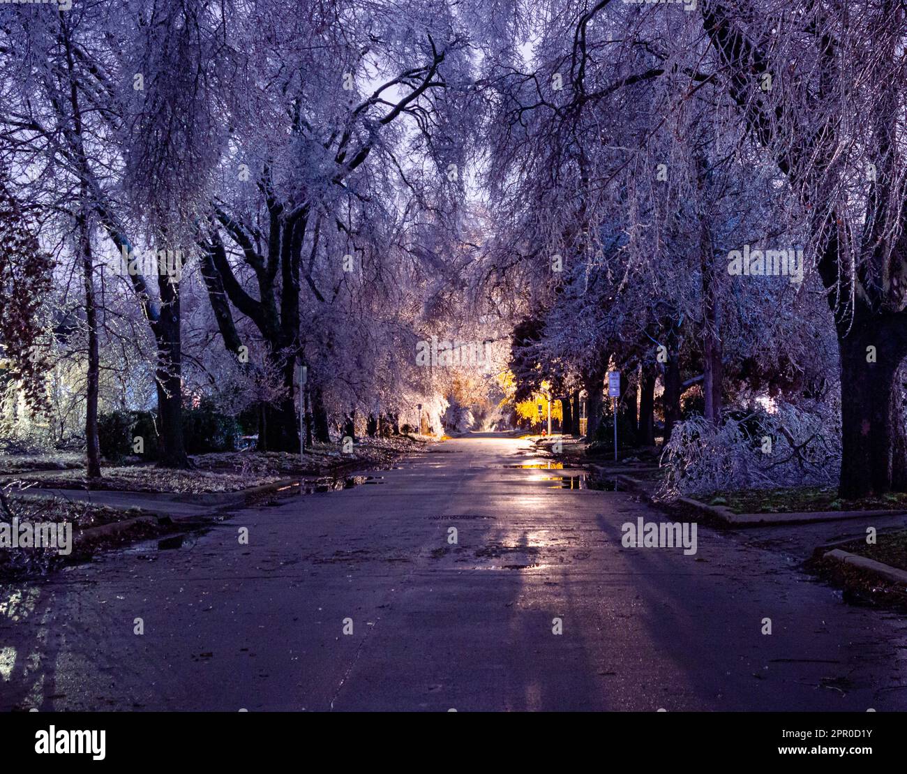 Winter street scene cityscape wet hi-res stock photography and images ...