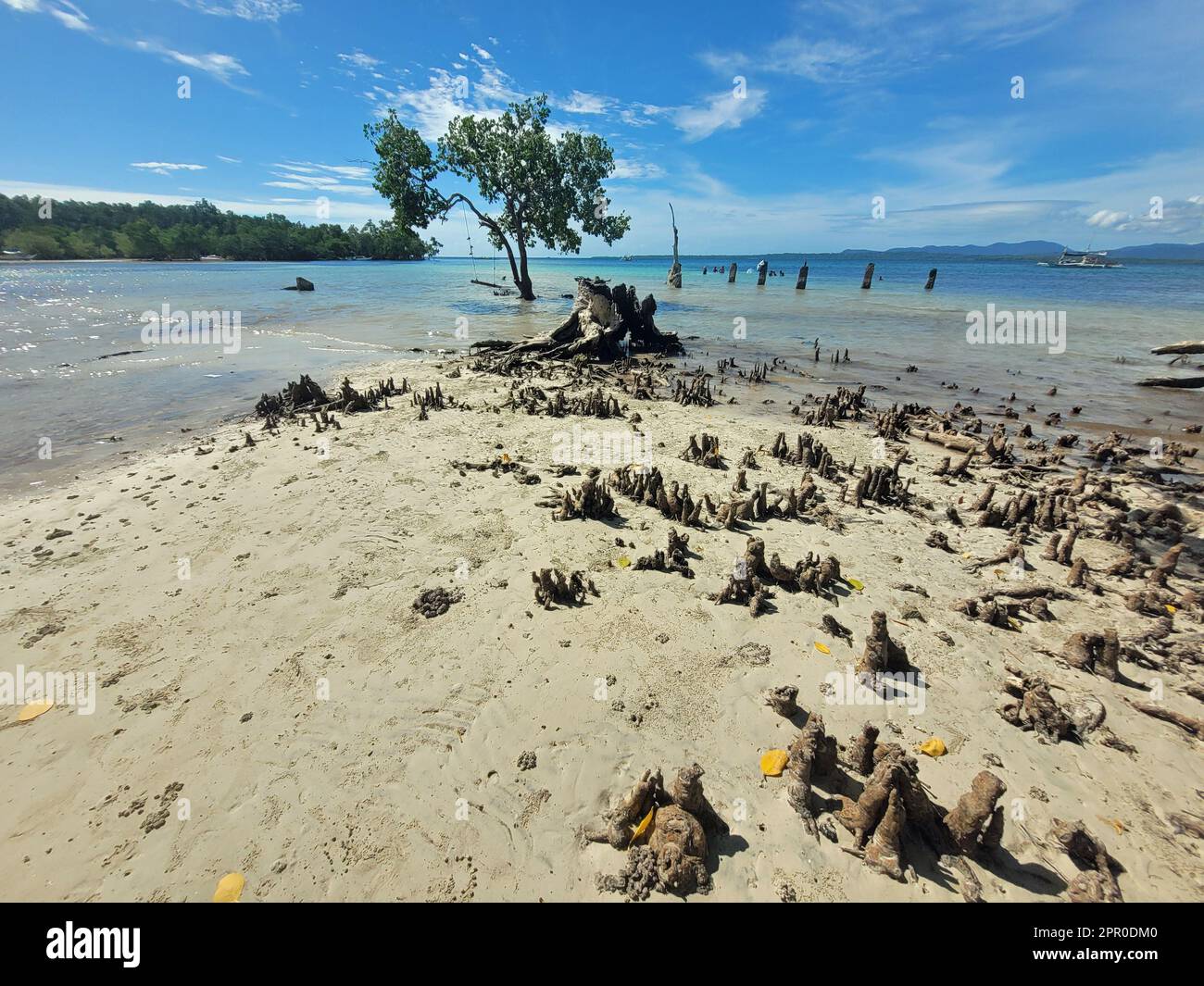 Pristine Palawan Beach 10 Best Palawan Island Tours & Trips 2025/2026