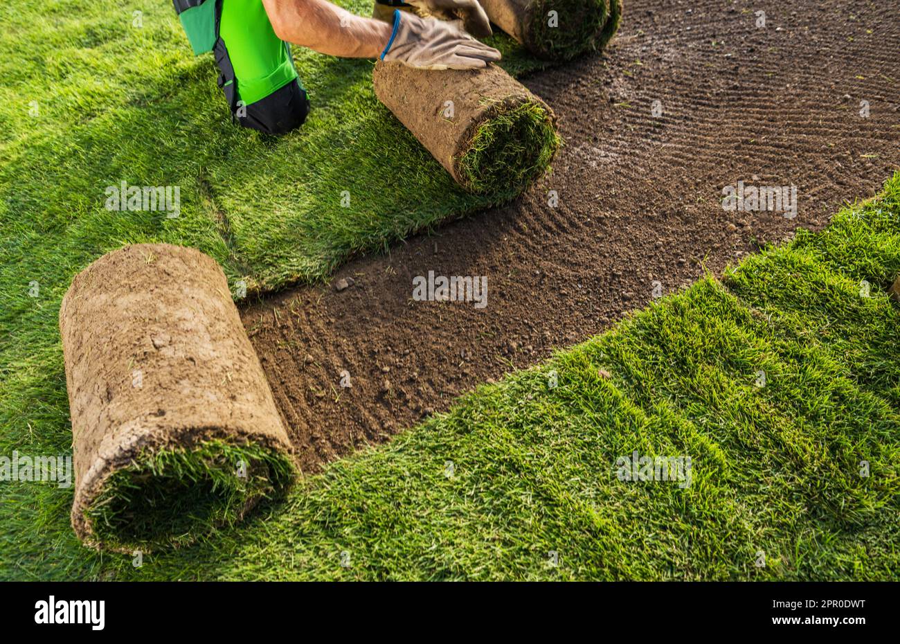 Installing Fresh Natural Grass Turfs From a Roll Inside Residential ...