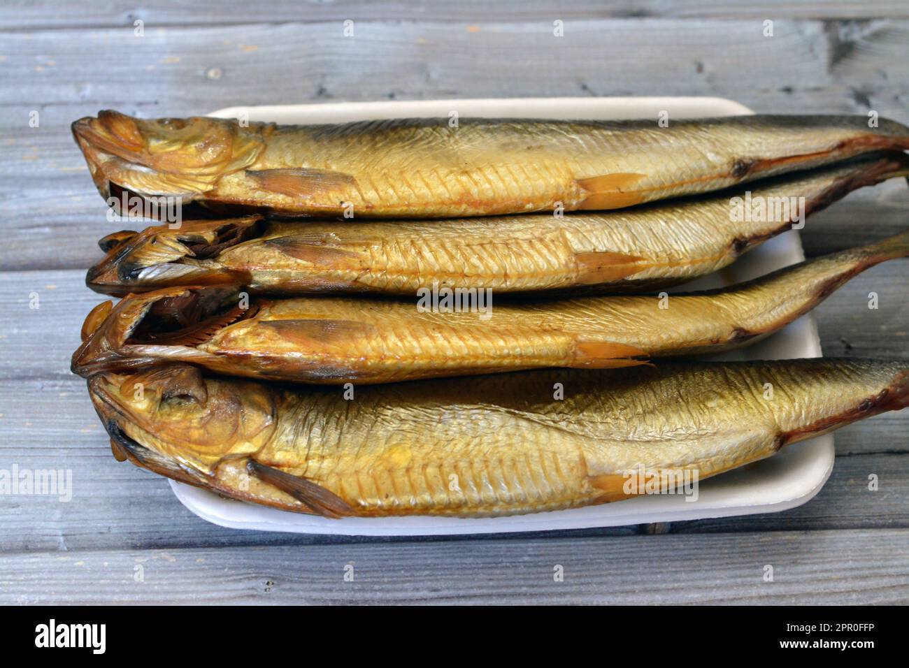 Smoked salty Herring forage fishes, salt-cured and smoked, also known ...