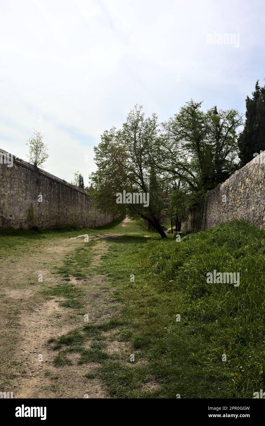 Tree in a dirt path between boundary walls in a park by the hillside ...