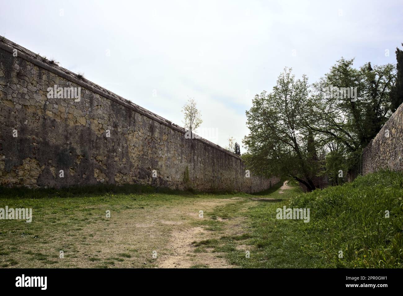 Tree in a dirt path between boundary walls in a park by the hillside ...