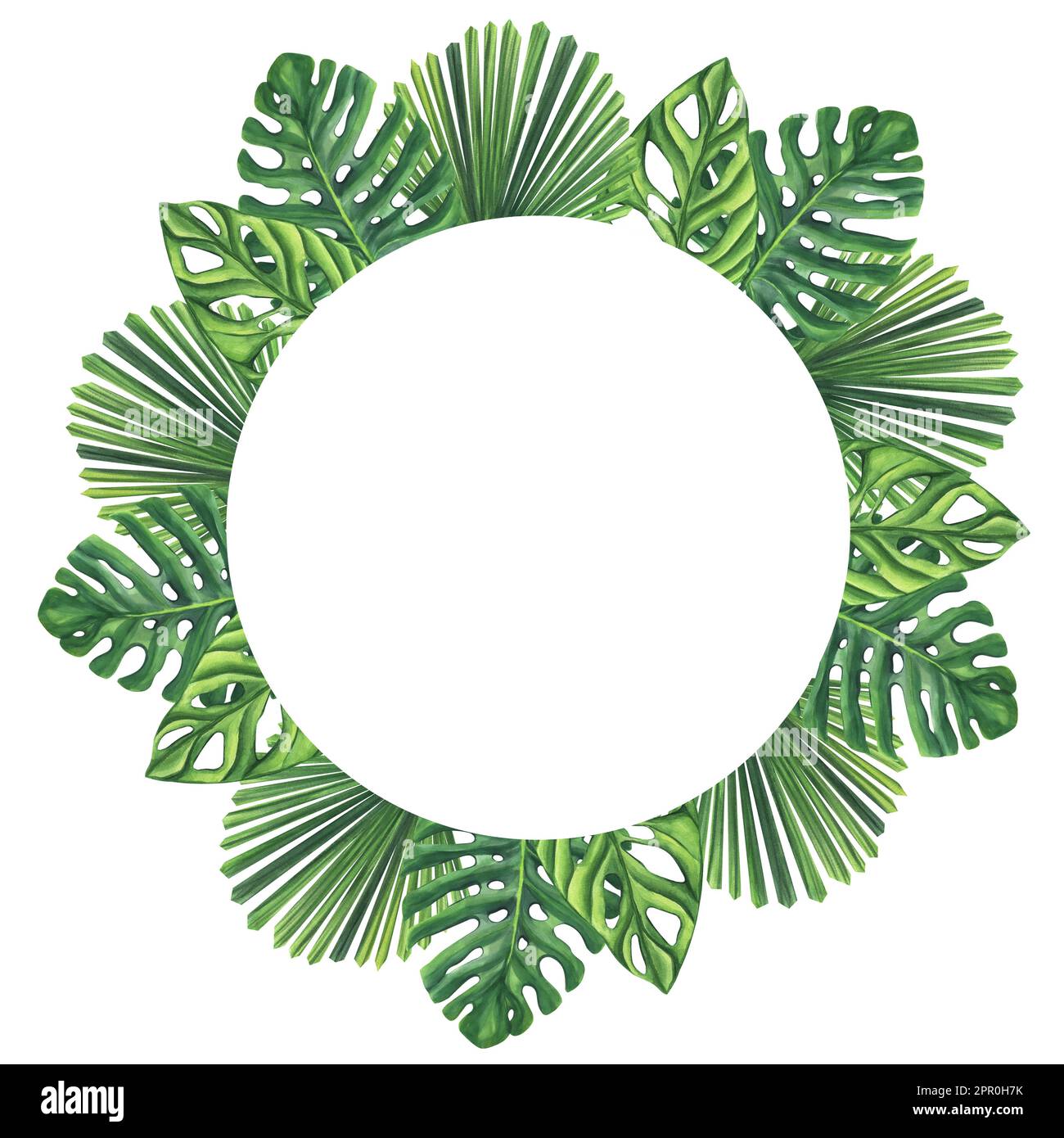 Round frame green palm leaves. Monstera Likuala. Jungle tropical exotic ...