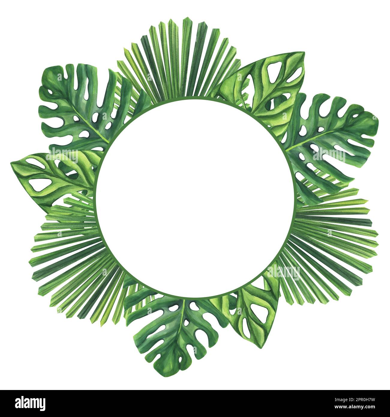 Round frame green palm leaves. Monstera Likuala. Jungle tropical exotic ...