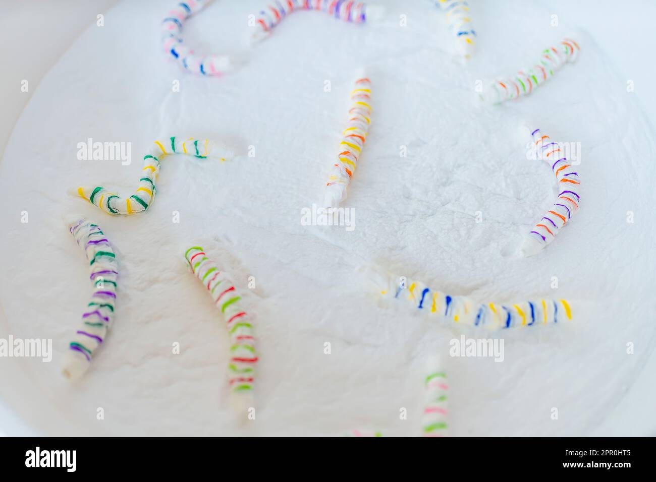 Colorful paper worms. Sensory development and experiences, themed ...