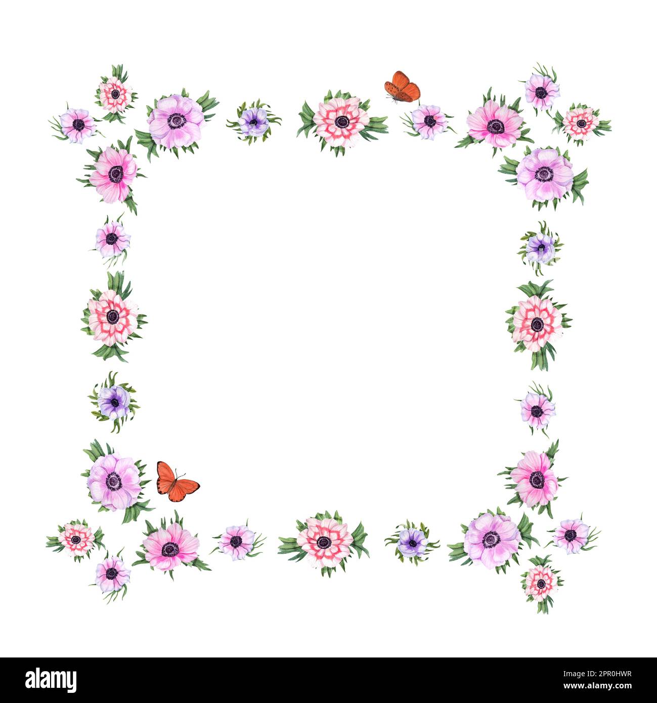 Watercolor birthday square frame with anemones, butterflies isolated on ...